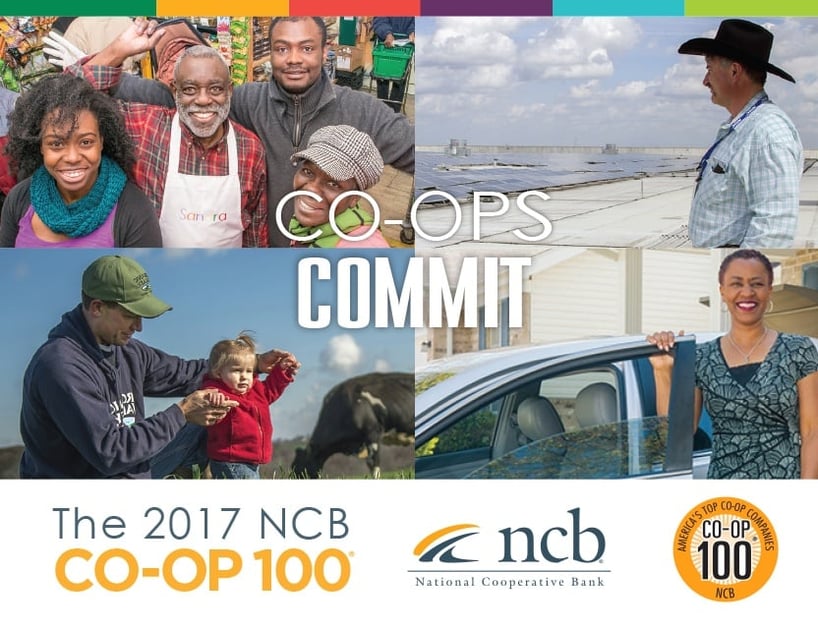 Celebrate Co-op Month: Learn about the top 100 cooperatives